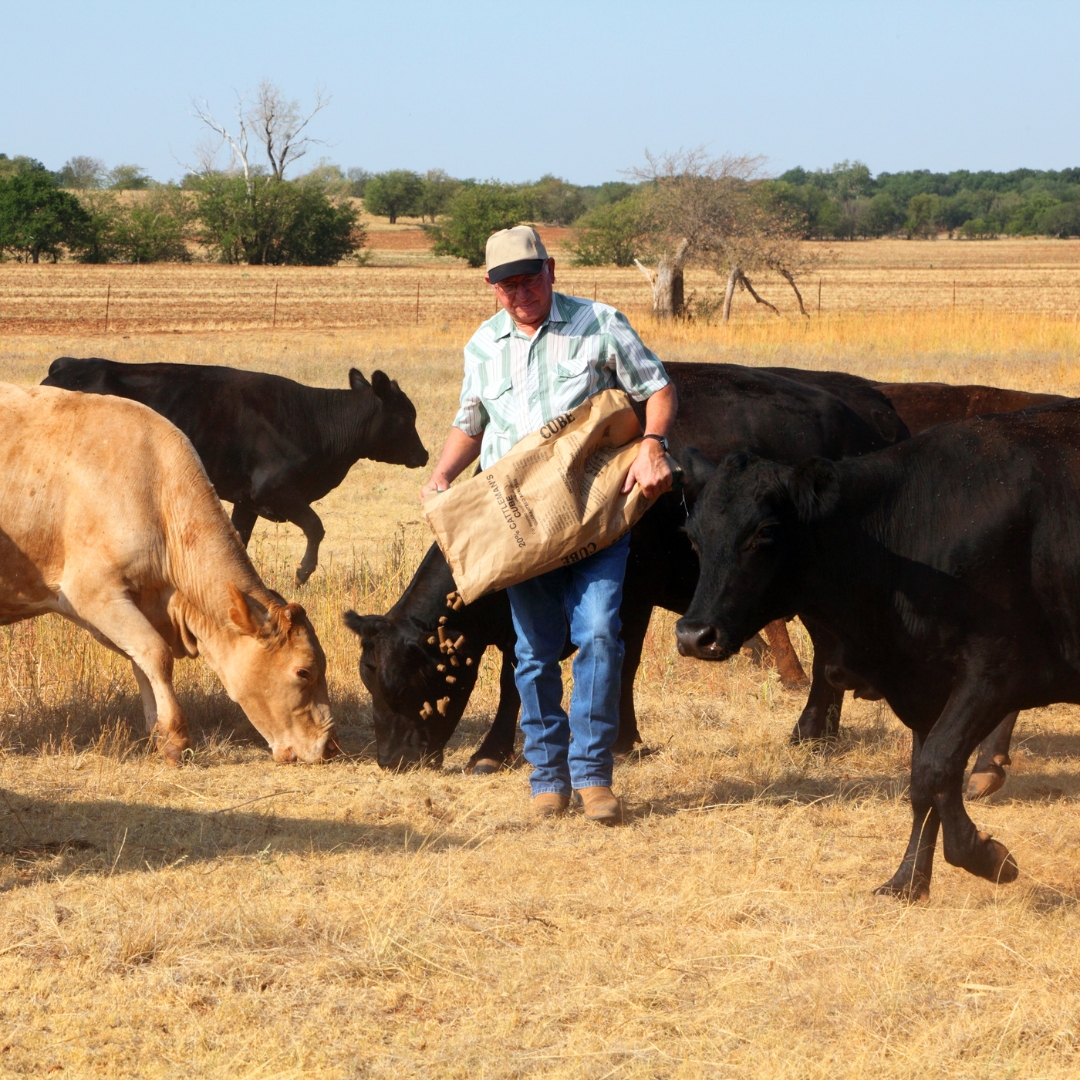 Supplementing Your Livestock - Johnson Feed Company
