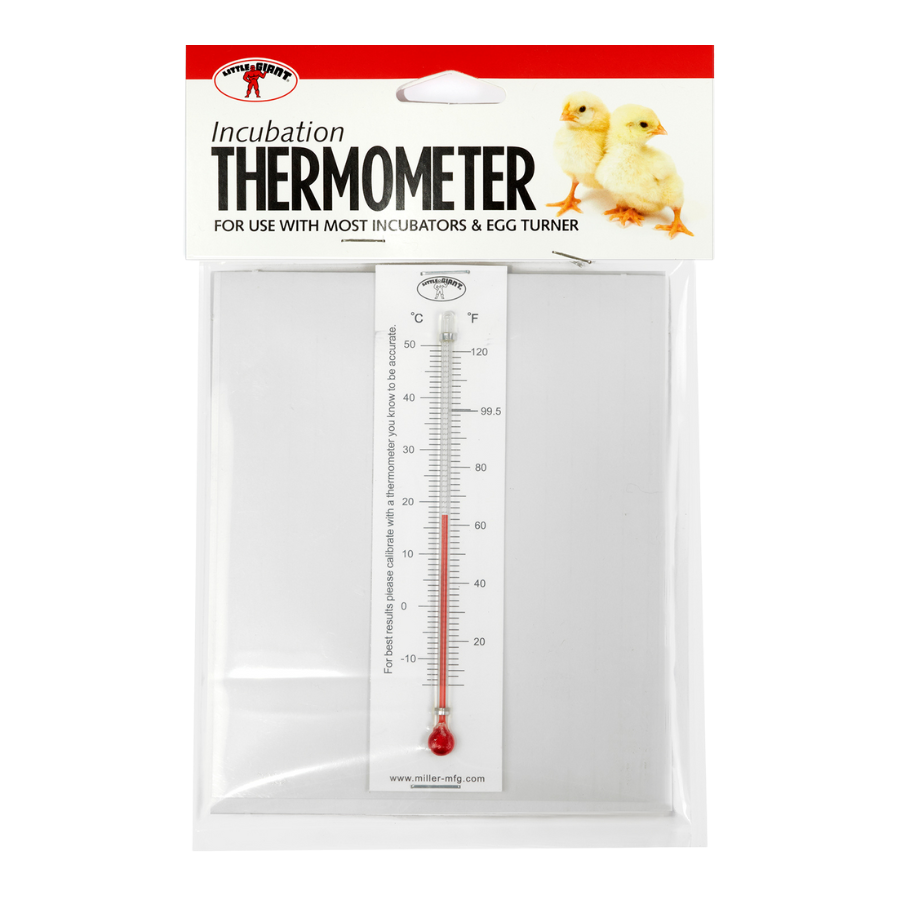 Little Giant Poultry Thermometer - Johnson Feed Company